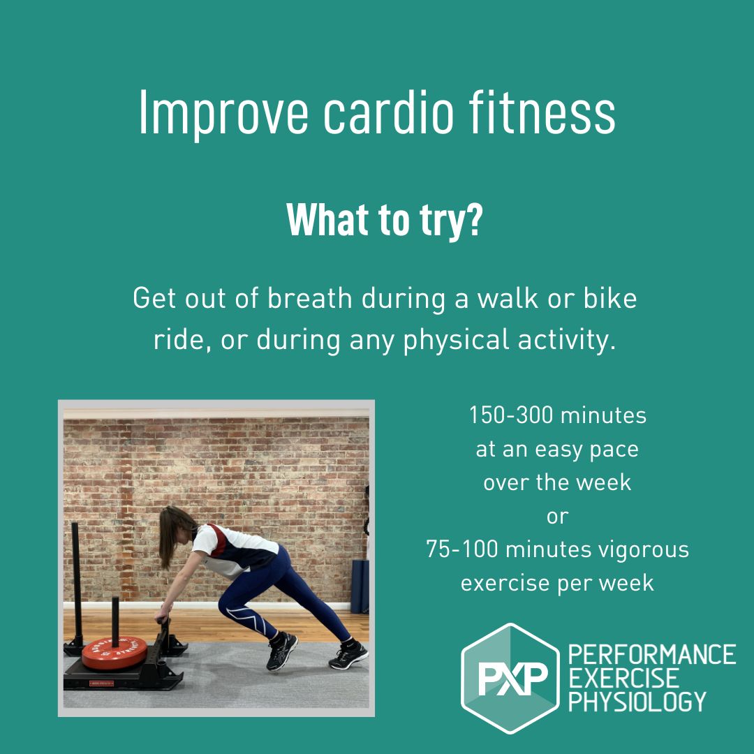 PXP Healthcare? Performance? Fitness?... and the dividing line. - PXP - PERFORMANCE X PHYSIOLOGY