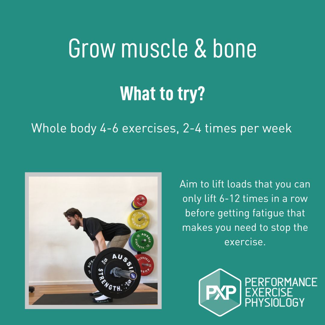 PXP Healthcare? Performance? Fitness?... and the dividing line. - PXP - PERFORMANCE X PHYSIOLOGY